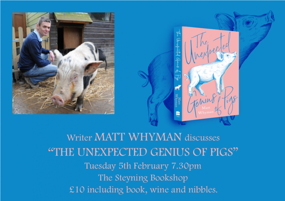 The Unexpected Genius of Pigs with Matt Whyman - Steyning Bookshop